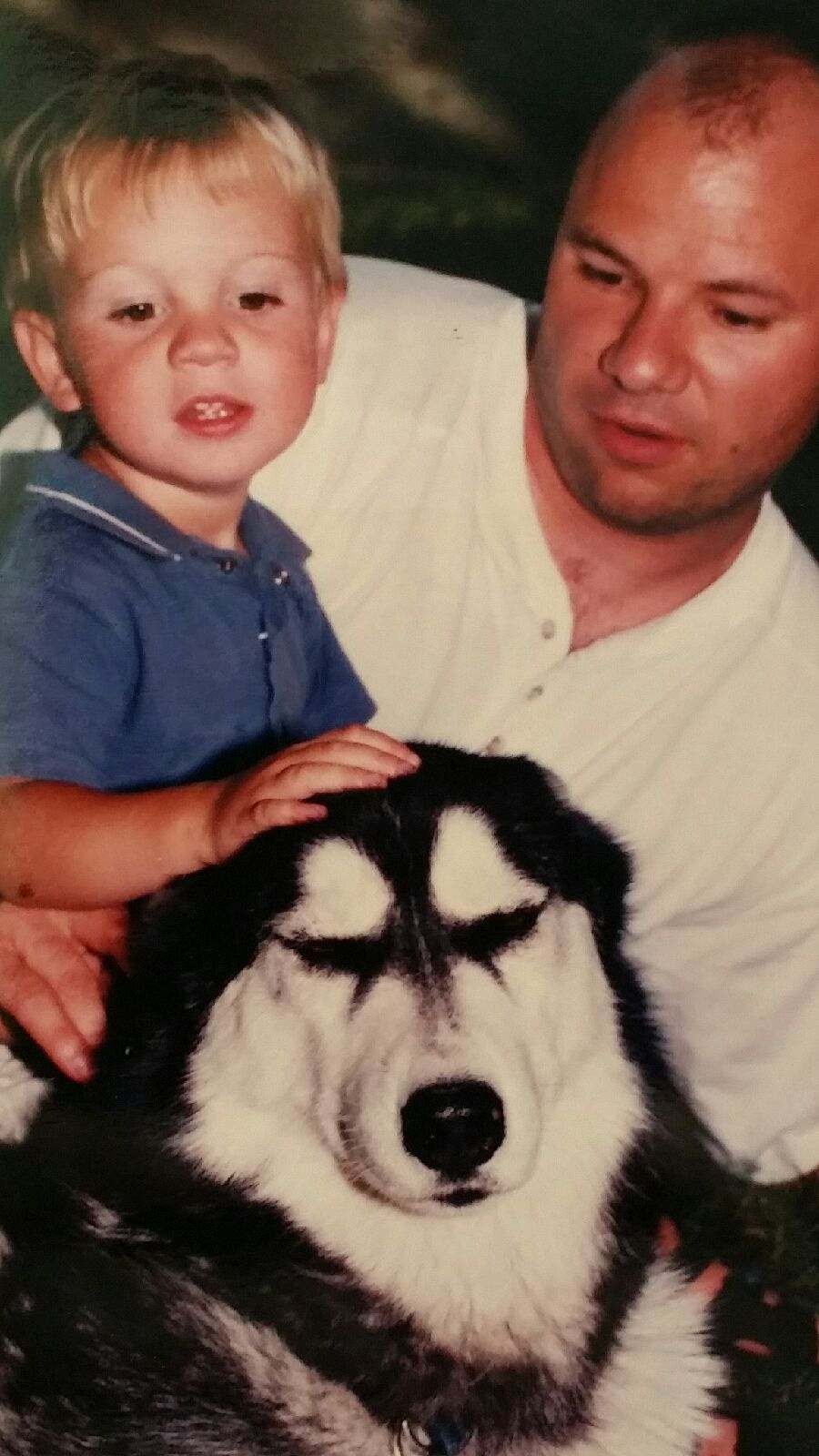 A Boy and His Dog – To See Or Not To See